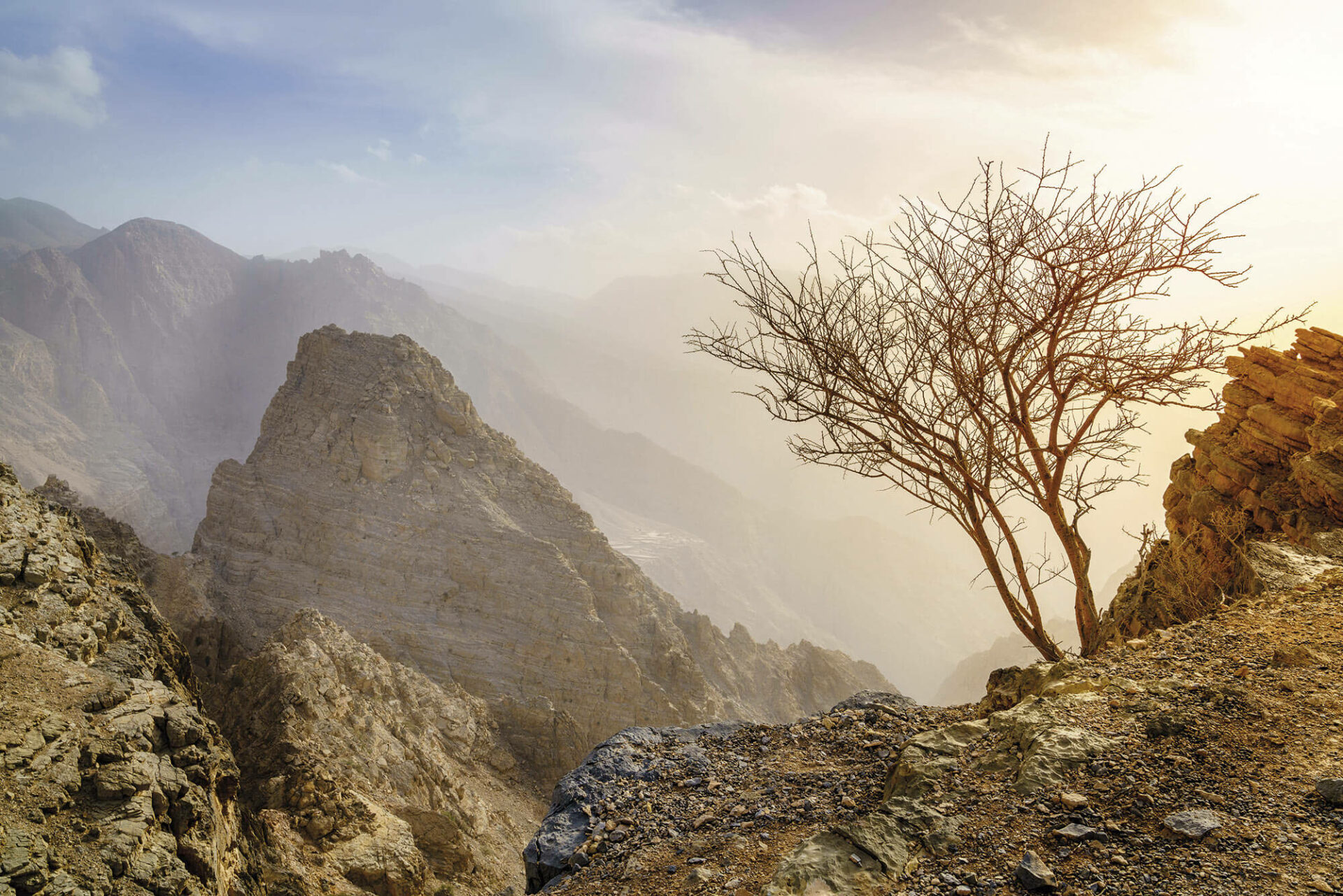 On the trail of Arabian nature – Kraków Airport Blog